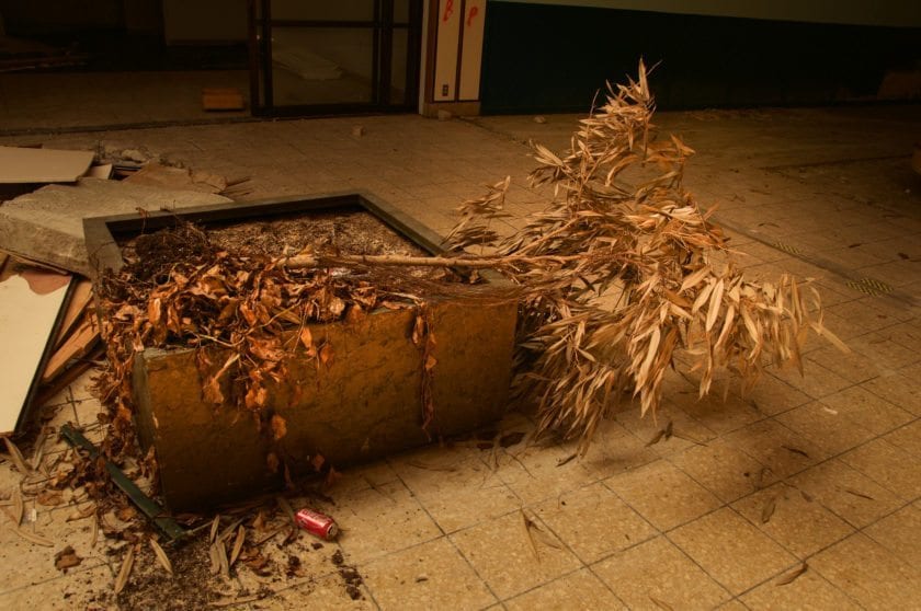 A Haunting Look Inside America's Creepiest Abandoned Malls